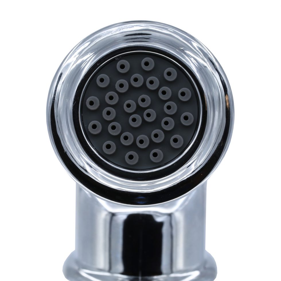 Universal Kitchen Sink Side Spray in Chrome - Danco