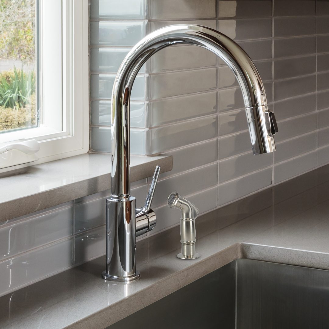 Kitchen Sink Side Spray in Brushed Nickel - Danco