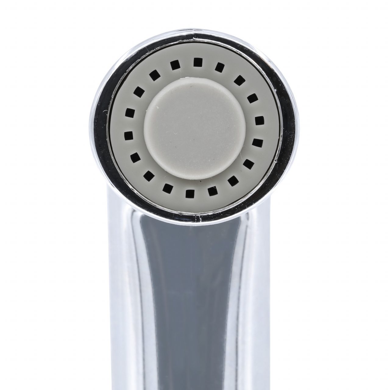 Universal Kitchen Side Spray in Chrome - Danco