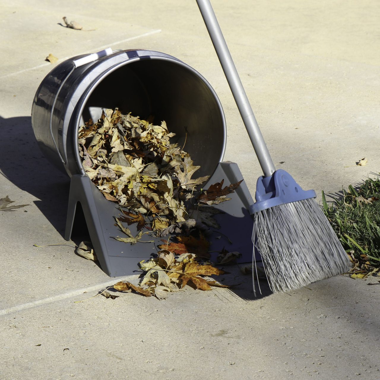 Attachable Dust Pan - Danco