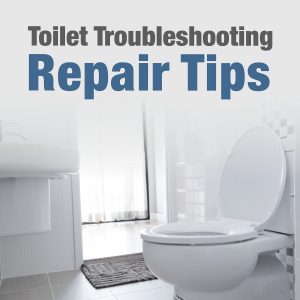 Toilet Basics 101: Get to know your toilet